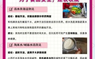 草莓丝瓜向日葵黄瓜榴莲污_如何正确清洗
