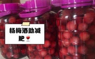 杨梅泡酒的功效与作用_杨梅泡酒的做法与禁忌 杨梅泡酒的功效与作用_杨梅泡酒的做法与禁忌