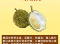 女人吃榴莲的好处_榴莲对女性的功效与作用