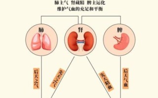 气血不足的症状有哪些表现_气血不足怎么补