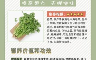 香菜的营养价值及功效_香菜怎么吃最健康