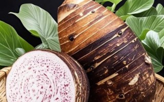 荔浦芋头直接蒸好吃吗_荔浦芋头蒸多久才软糯