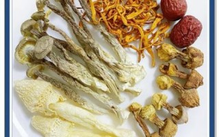 干松茸汤的做法大全_干松茸汤怎么炖才香