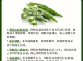 秋葵的功效与作用_秋葵是药材吗