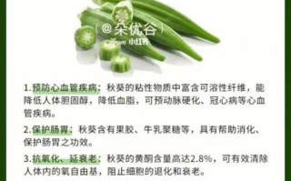 秋葵的功效与作用_秋葵是药材吗