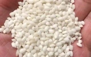 江米和糯米是一种米吗_两者区别与用途