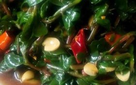 蚂蚱菜怎么吃_蚂蚱菜的做法大全