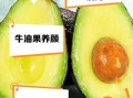 牛油果对卵巢子宫有好处吗_牛油果对子宫卵巢的功效