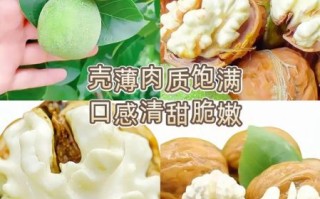 青皮核桃怎么去皮_青皮核桃保存方法