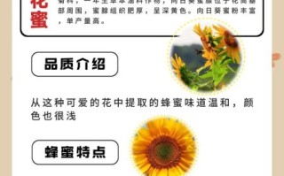 冠生园蜂蜜是真的吗_如何辨别真假