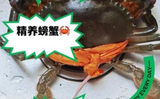 螃蟹吃什么食物好养活_家养螃蟹饲料推荐