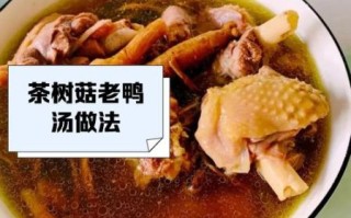茶树菇老鸭汤怎么做_正宗做法步骤