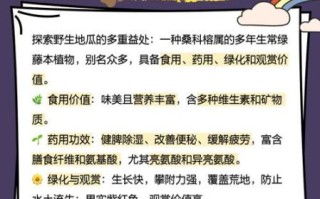 野地瓜几月份成熟_野地瓜成熟时间