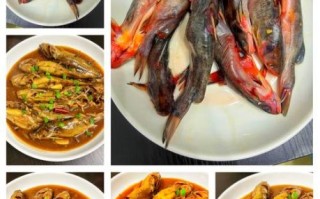 酱嘎牙鱼怎么做_酱嘎牙鱼的家常做法