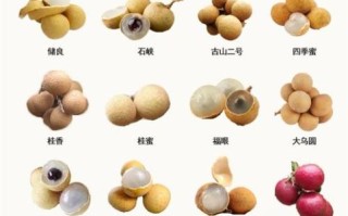 龙眼品种有哪些_龙眼哪个品种最甜