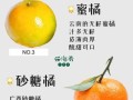 柑橘品种排名_哪个品种最好吃