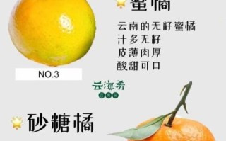 柑橘品种排名_哪个品种最好吃