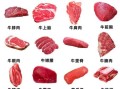 一头牛有多少牛腱子肉_牛腱子肉部位分布