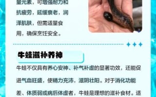 吃牛蛙有什么好处_牛蛙的营养价值与功效