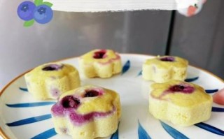 蓝莓怎么吃最好吃_蓝莓可以做什么甜品