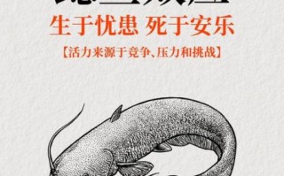 鲶鱼效应是什么意思_如何应用到团队管理