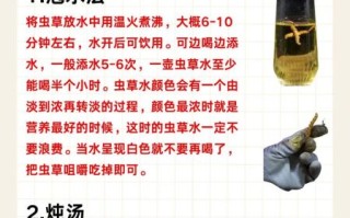 虫草怎样吃营养价值最好_虫草最佳食用方法