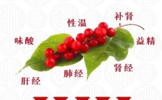 五味子有什么功效与作用_五味子适合哪些人吃