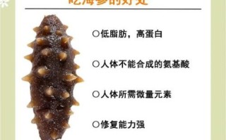 海参的功效与作用及副作用_海参怎么吃才安全