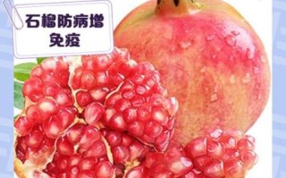 石榴的功效与作用适合哪些人_石榴什么人不能吃