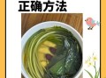 车前草怎么吃效果最好_车前草的正确吃法