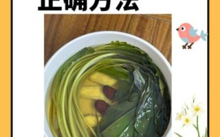 车前草怎么吃效果最好_车前草的正确吃法