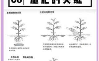 蔬菜种植技术大全_如何科学轮作与施肥