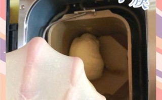 面包机和面比例是多少_面包机和面能揉出手套膜吗