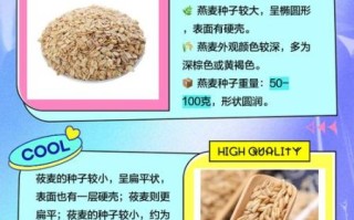 莜怎么读xiao还是you_莜麦与莜面读音全解析