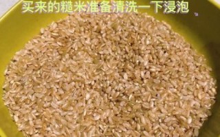 糙米茶的功效与作用_糙米茶怎么喝减肥