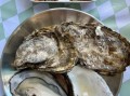海蛎子怎么吃最鲜美_海蛎子蒸多久才熟