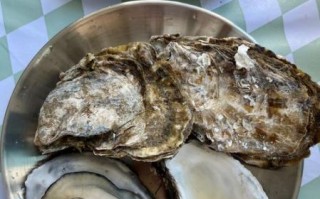 海蛎子怎么吃最鲜美_海蛎子蒸多久才熟