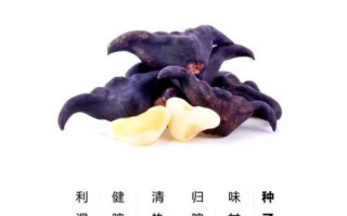 菱角抗癌防癌有奇效吗_怎么吃最有效