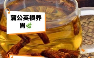 蒲公英泡水喝的功效与作用_蒲公英根茶怎么喝最好