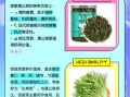 苣荬怎么读_苣荬菜和蒲公英区别