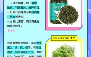 苣荬怎么读_苣荬菜和蒲公英区别