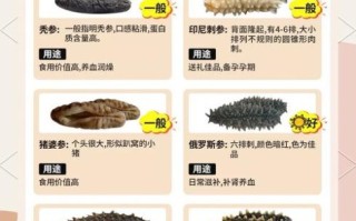 辽参干海参多少钱一斤_如何挑选性价比高的辽参
