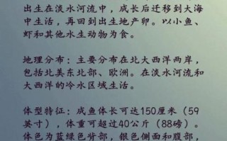 鲜大马哈鱼怎么做好吃_鲜大马哈鱼的家常做法