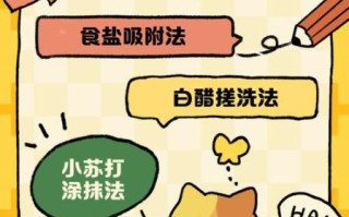 樱桃汁怎么做_樱桃汁的制作方法