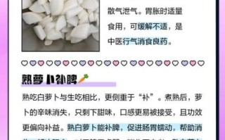白萝卜生吃好还是熟吃好_白萝卜的功效与作用有哪些
