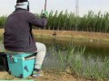 钓鱼视频全过程_新手如何拍