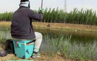 钓鱼视频全过程_新手如何拍