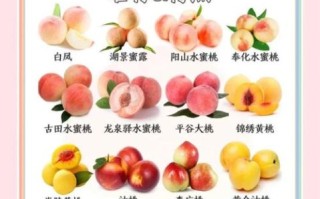 水蜜桃不能和什么一起吃_吃了会怎样