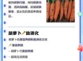 胡萝卜生吃有营养吗_生吃胡萝卜营养吸收好吗