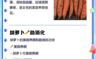 胡萝卜生吃有营养吗_生吃胡萝卜营养吸收好吗